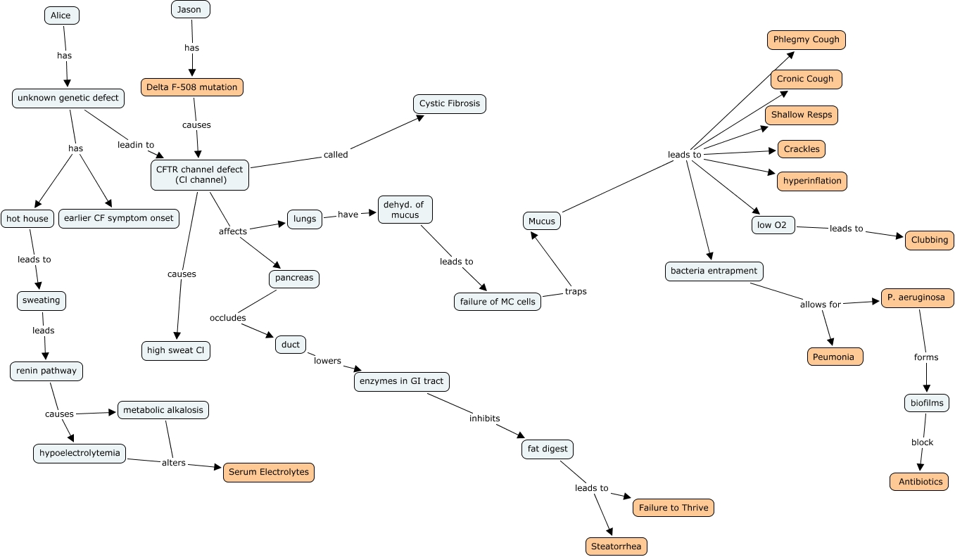 Conner (CF) case map